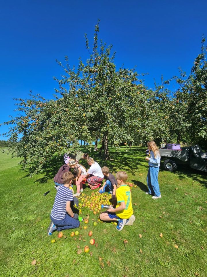 Home - Eltern Kind Programm e.V.